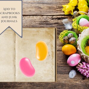 Jellybean Clipart Pack - Transparent Background - Colorful Jelly Bean ...
