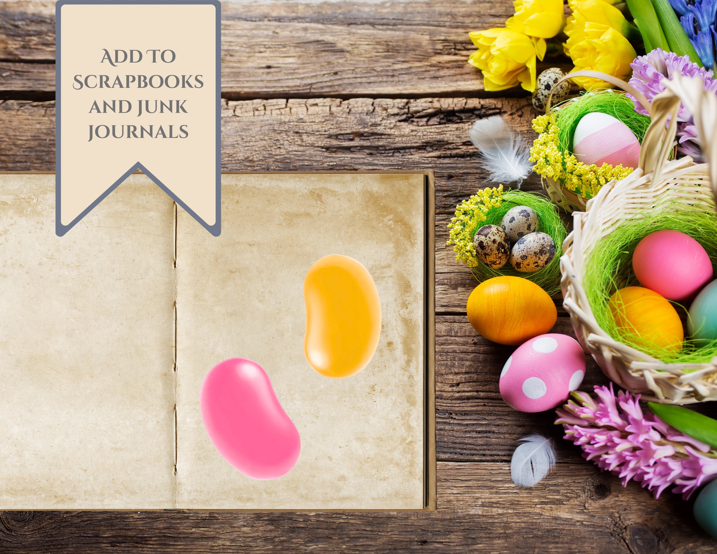 Jellybean Clipart Pack Transparent Background Colorful Jelly Bean ...