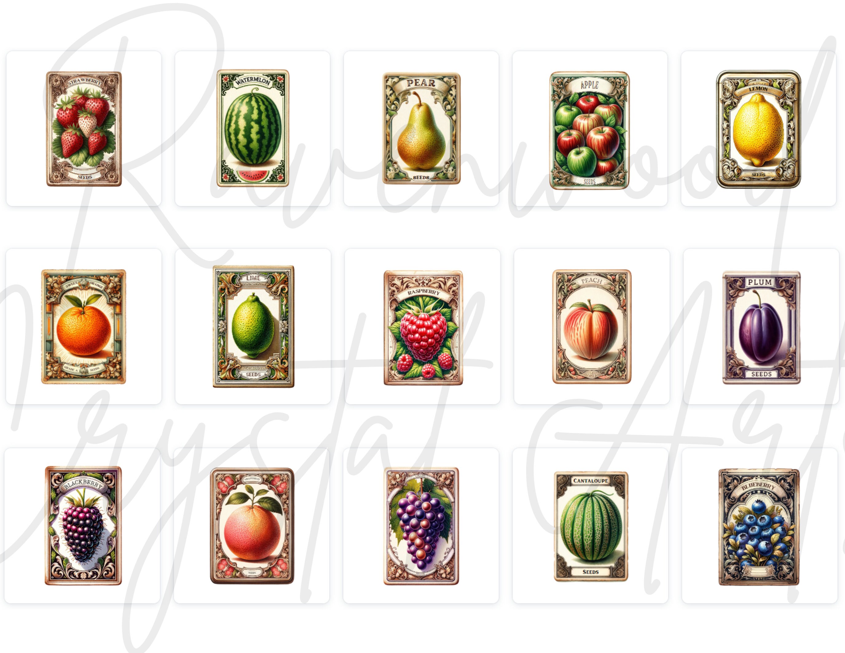 Vintage Fruit Seed Packet Clipart Pack - 15 Pngs - Transparent ...