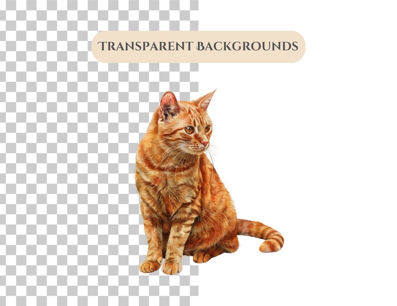 Realistic Cats Clipart Realistic Kittens Clipart 28 Pngs Watercolor ...