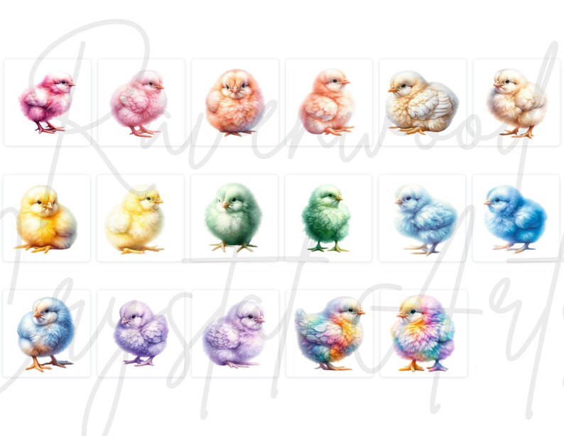 Colorful Baby Chicks Clipart Pack - Transparent Background - Watercolor ...