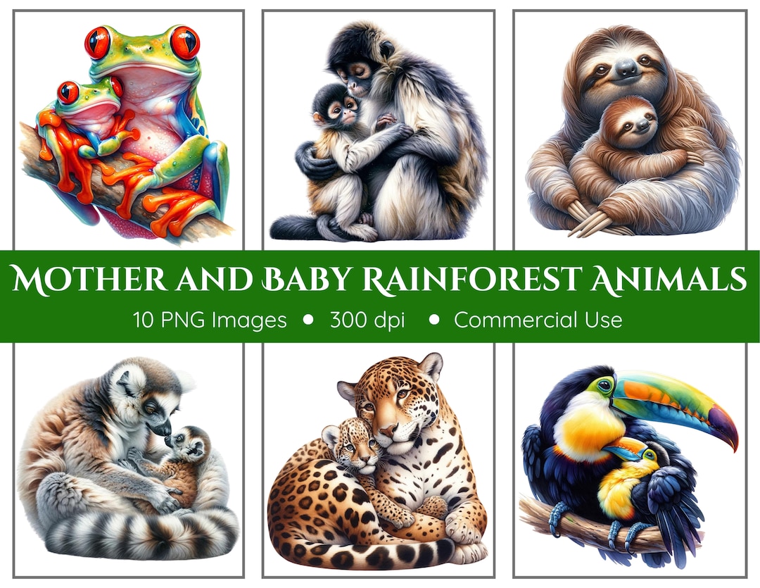 Mother and Baby Rainforest Animals Clipart - Farm Clipart - Transparent ...