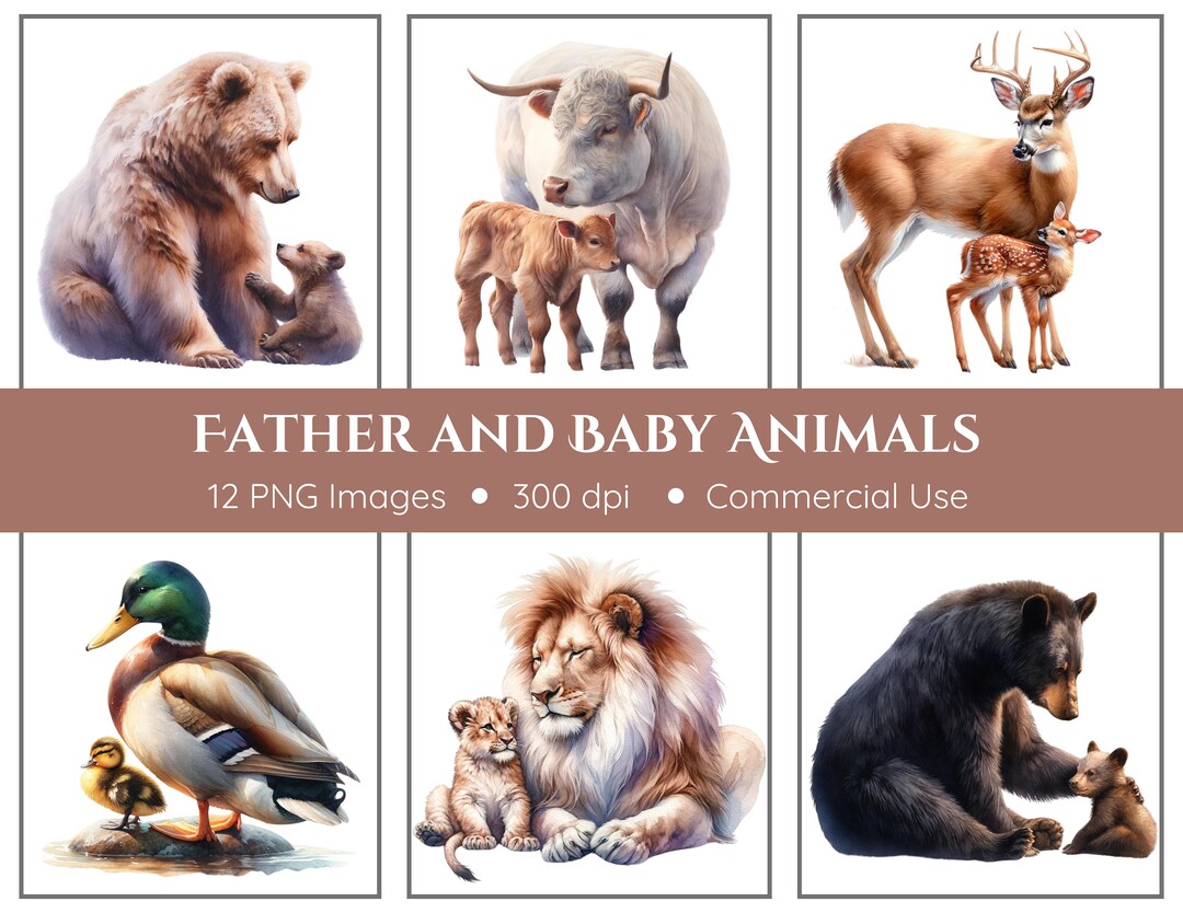 Father and Baby Animals Clipart | 12 Pngs | Father's Day Clipart | Papa ...