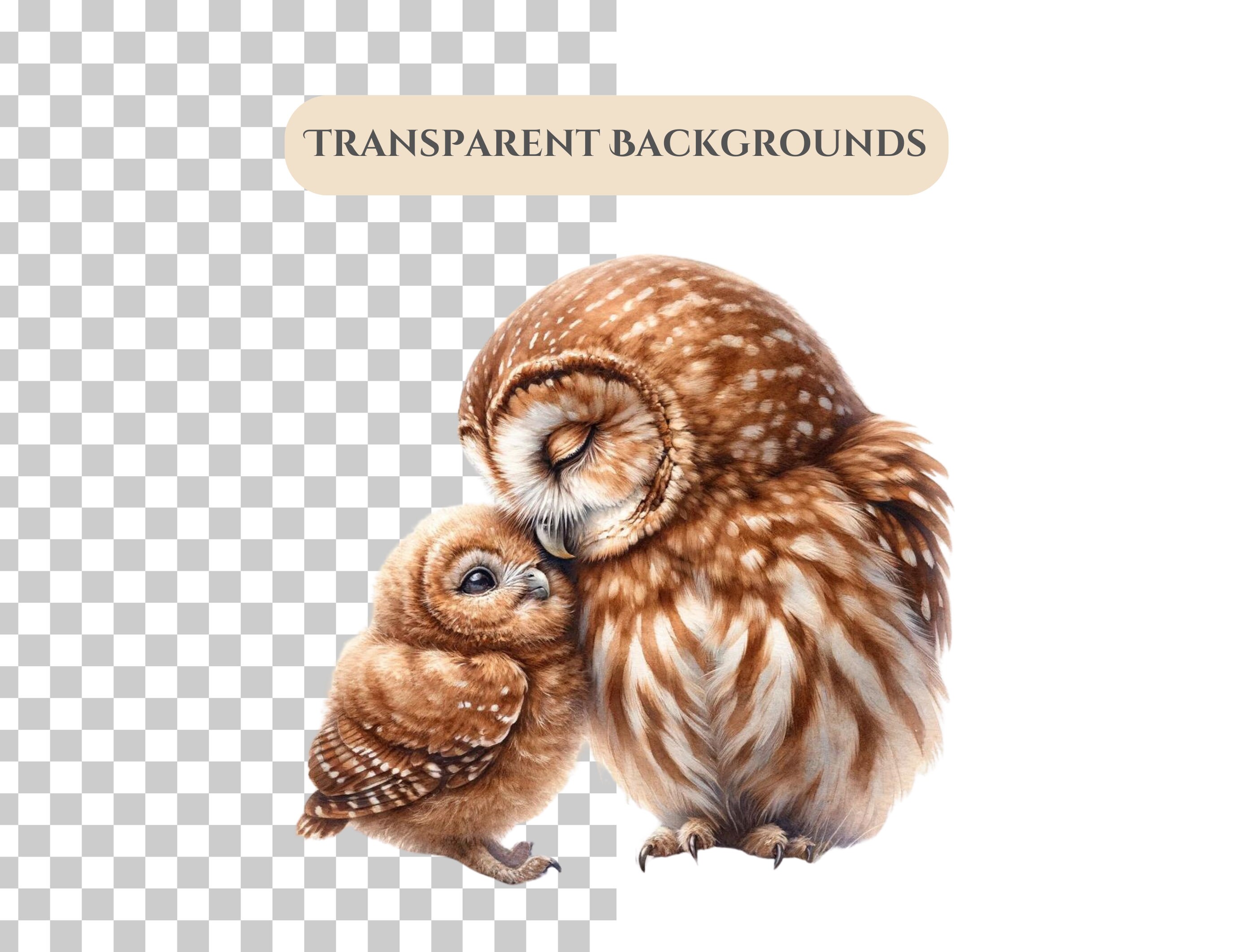 Mother and Baby Woodland Animals Clipart Safari Clipart Transparent ...