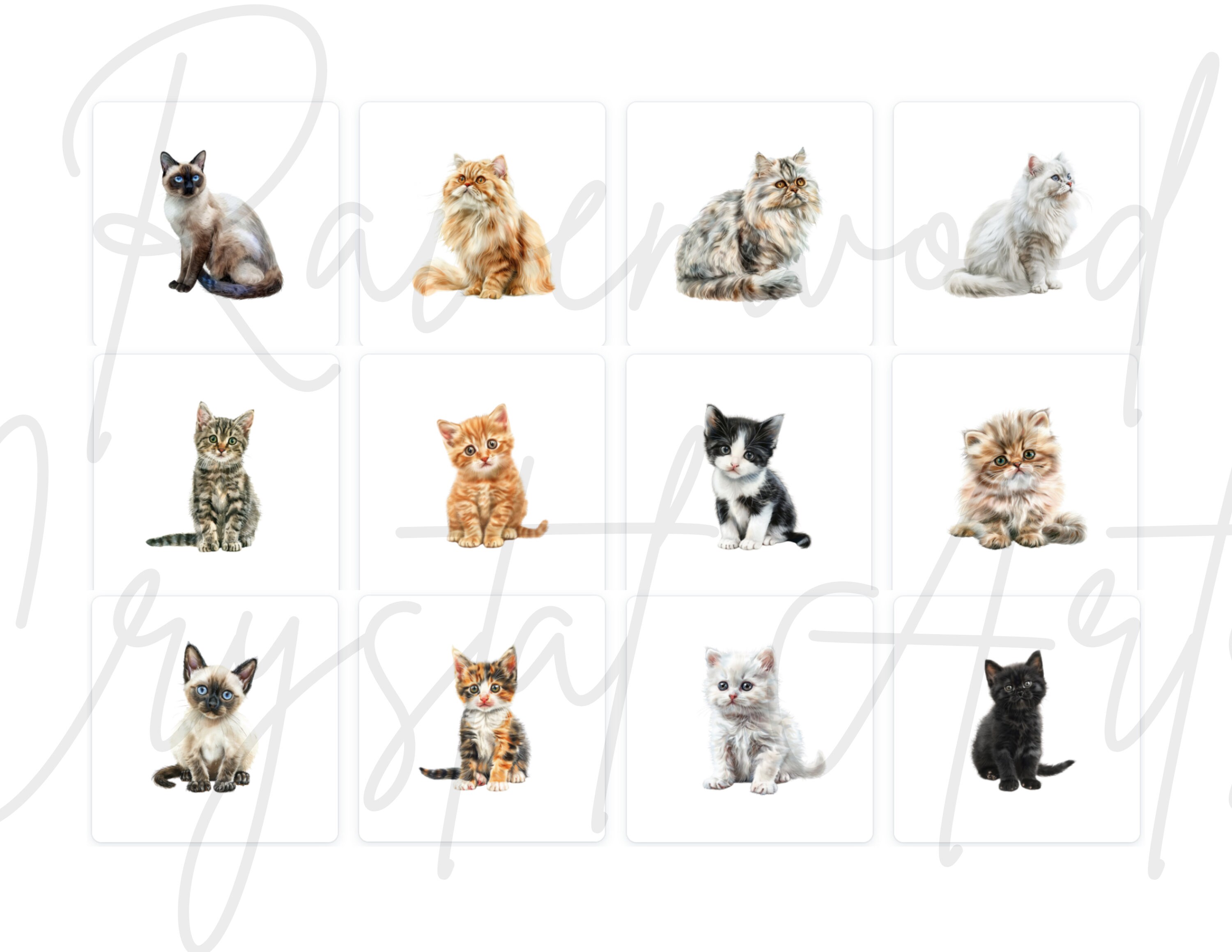 Realistic Cats Clipart Realistic Kittens Clipart 28 Pngs Watercolor ...