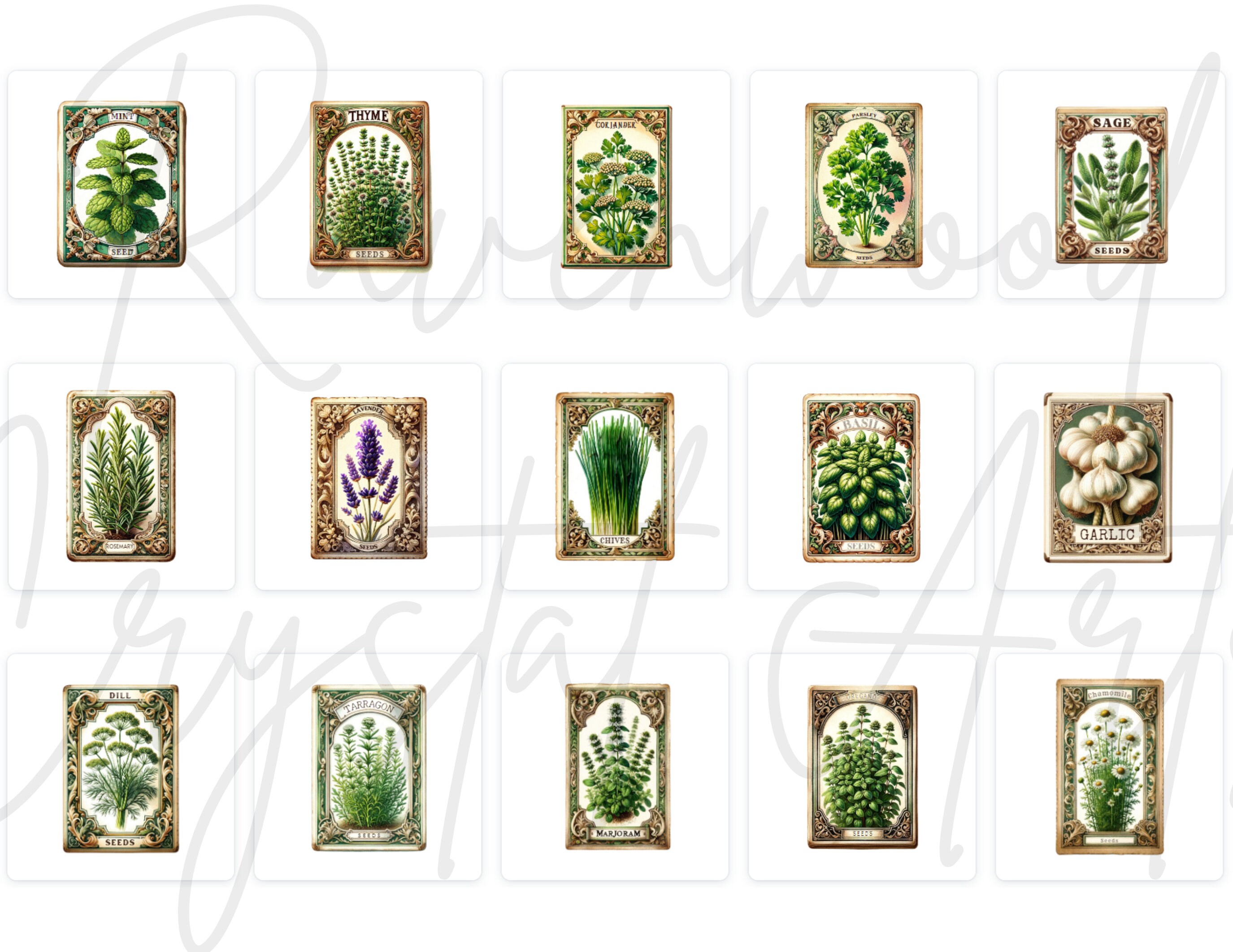 Vintage Herb Seed Packet Clipart Pack 15 Pngs Transparent Background ...