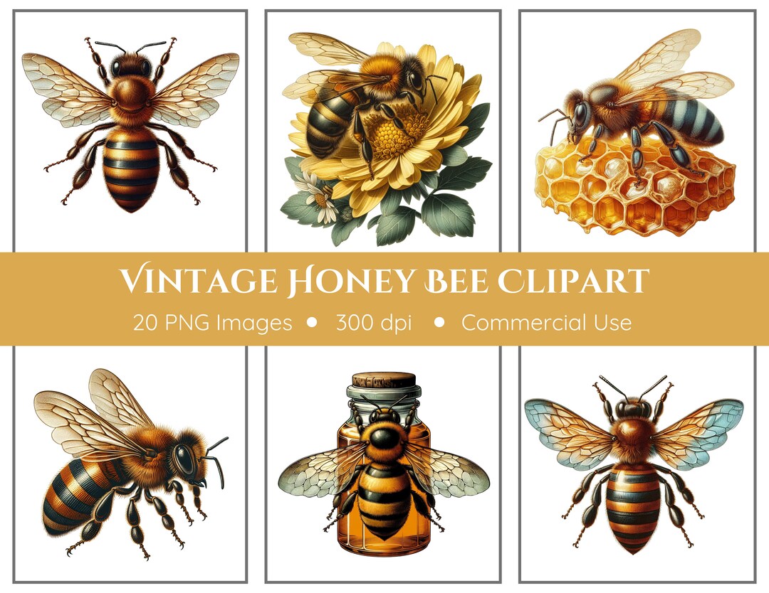 Vintage Honey Bee Clipart | 20 Pngs | Bumble Bee Clip Art | Junk ...