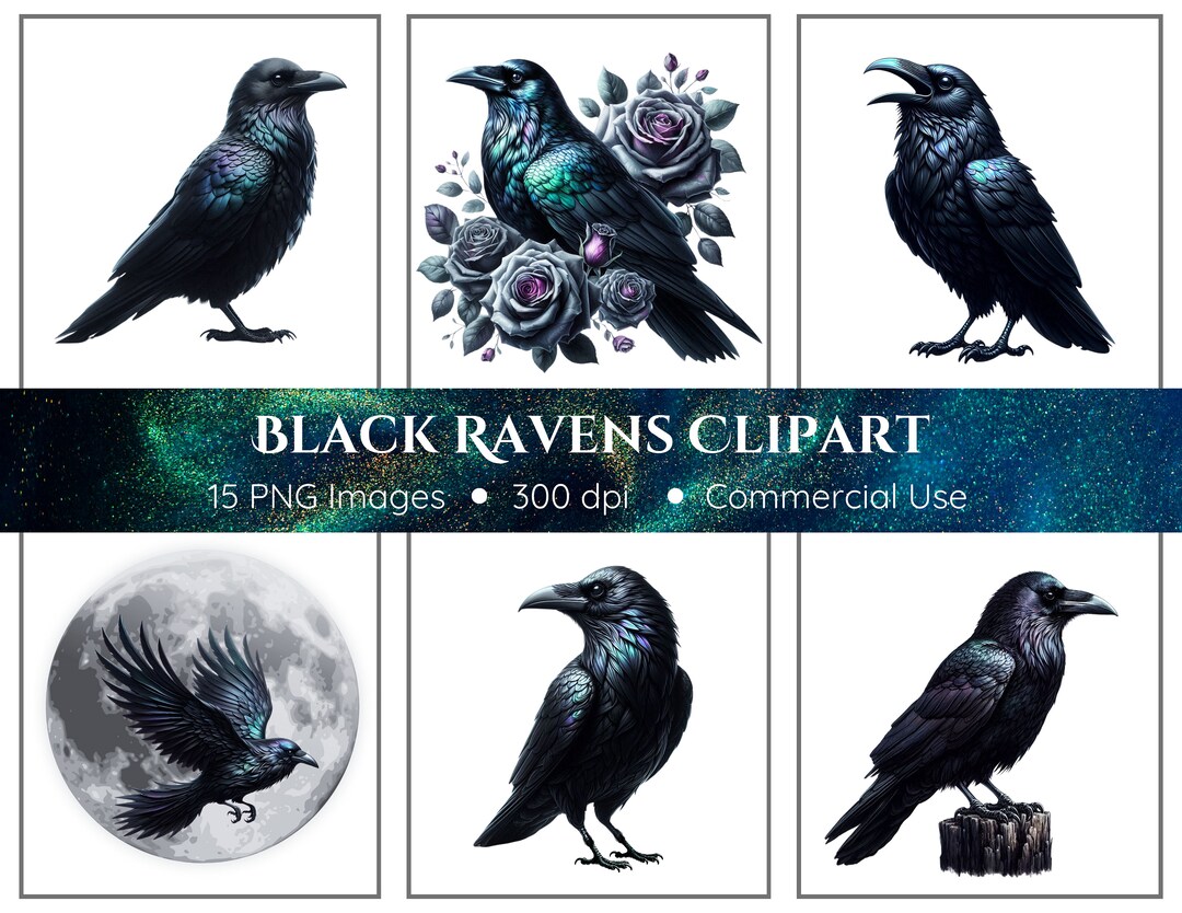 Black Ravens Clipart | 15 Pngs | Gothic Ravens | Raven PNG | Black ...