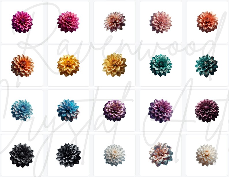 Dazzling Dahlias Clipart Pack | 20 Pngs | Dahlia Flower Clipart ...