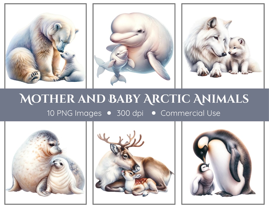 Mother and Baby Arctic Animals Clipart - Baby Animals Clipart ...