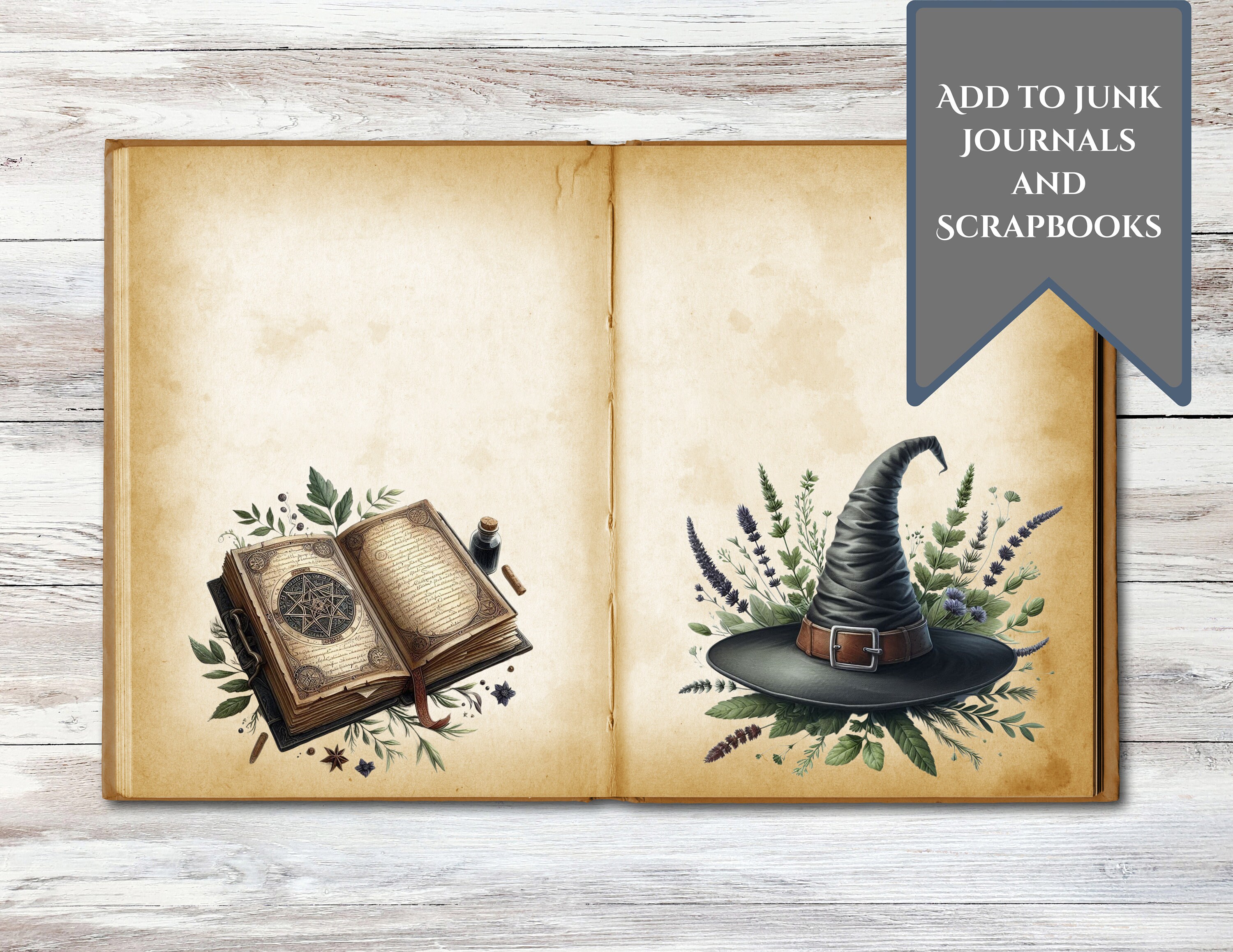 Toil and Trouble Clipart | 25 Pngs | Witch Clipart | Mystical Clipart ...