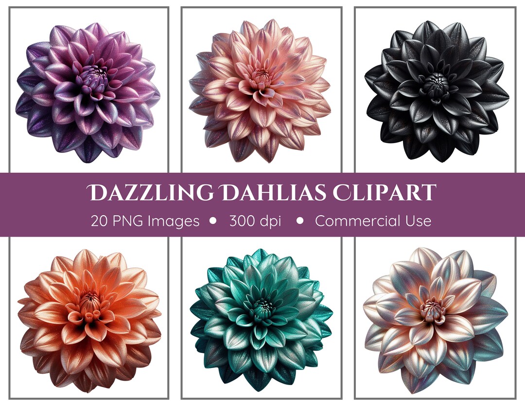Dazzling Dahlias Clipart Pack | 20 Pngs | Dahlia Flower Clipart ...