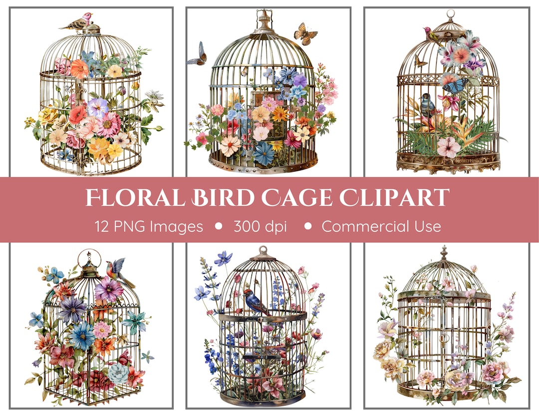 Bird Cage Clipart | 12 Pngs | Floral Bird Cages | Bird Cage Ephemera ...