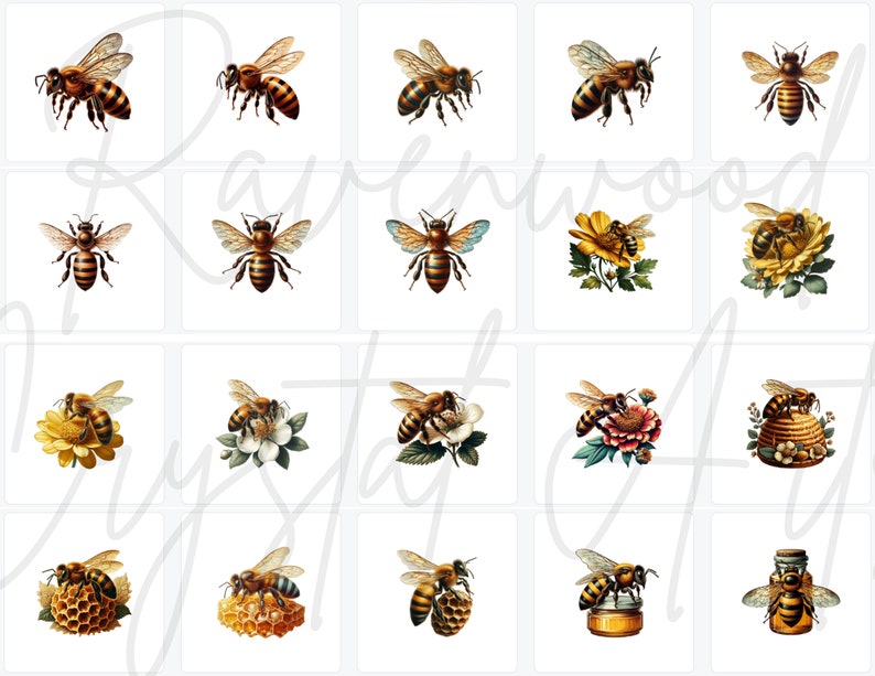 Vintage Honey Bee Clipart | 20 Pngs | Bumble Bee Clip Art | Junk ...