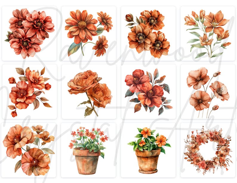 Terracotta Clipart Pack Transparent Background Terracotta Orange ...