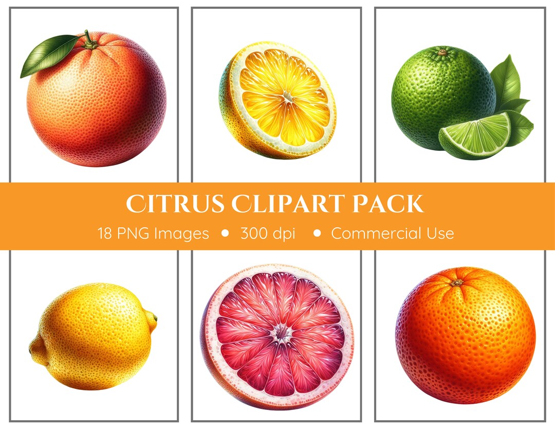 Watercolor Citrus Clipart | 18 Pngs | Fruit Clipart | Citrus PNG ...