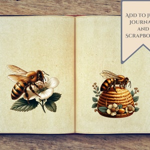 Vintage Honey Bee Clipart | 20 Pngs | Bumble Bee Clip Art | Junk ...