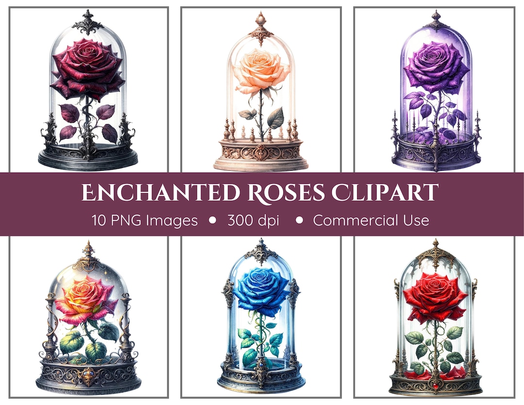 Enchanted Rose Clipart Pack - Transparent Background - Enchanted Roses ...