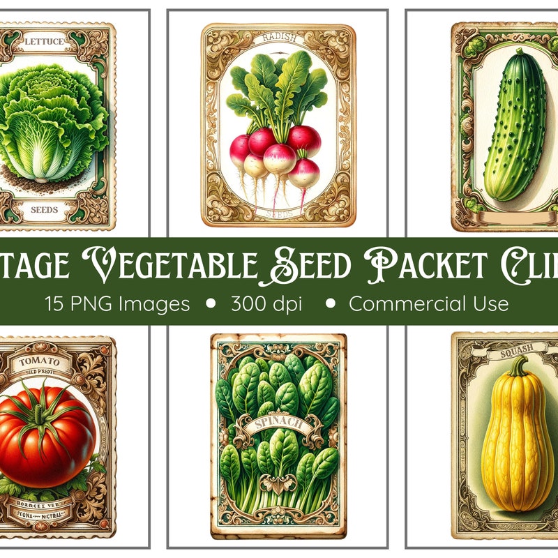 Vegetable Stamp - Etsy