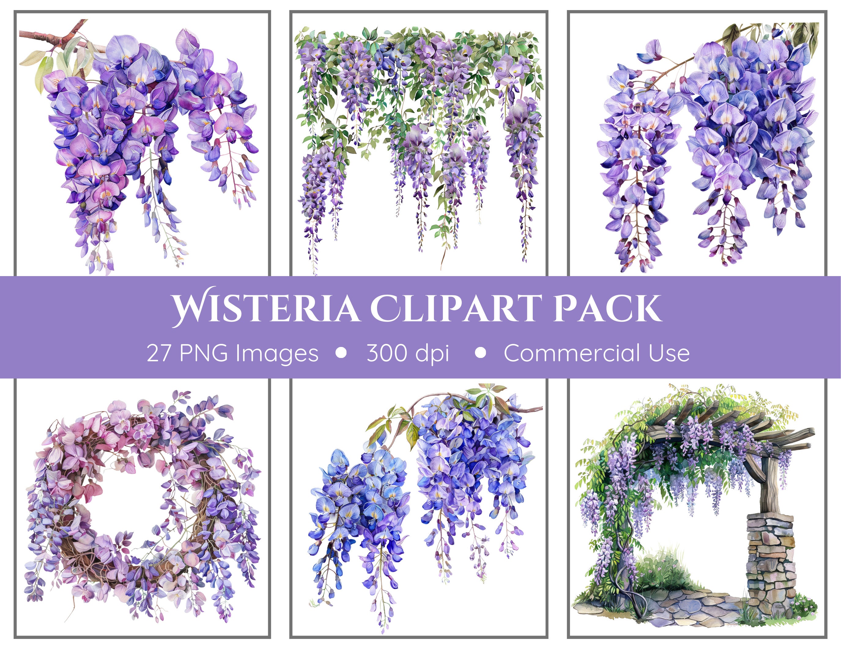 Wisteria Clipart Pack - Transparent Background - Wisteria, Wistera ...