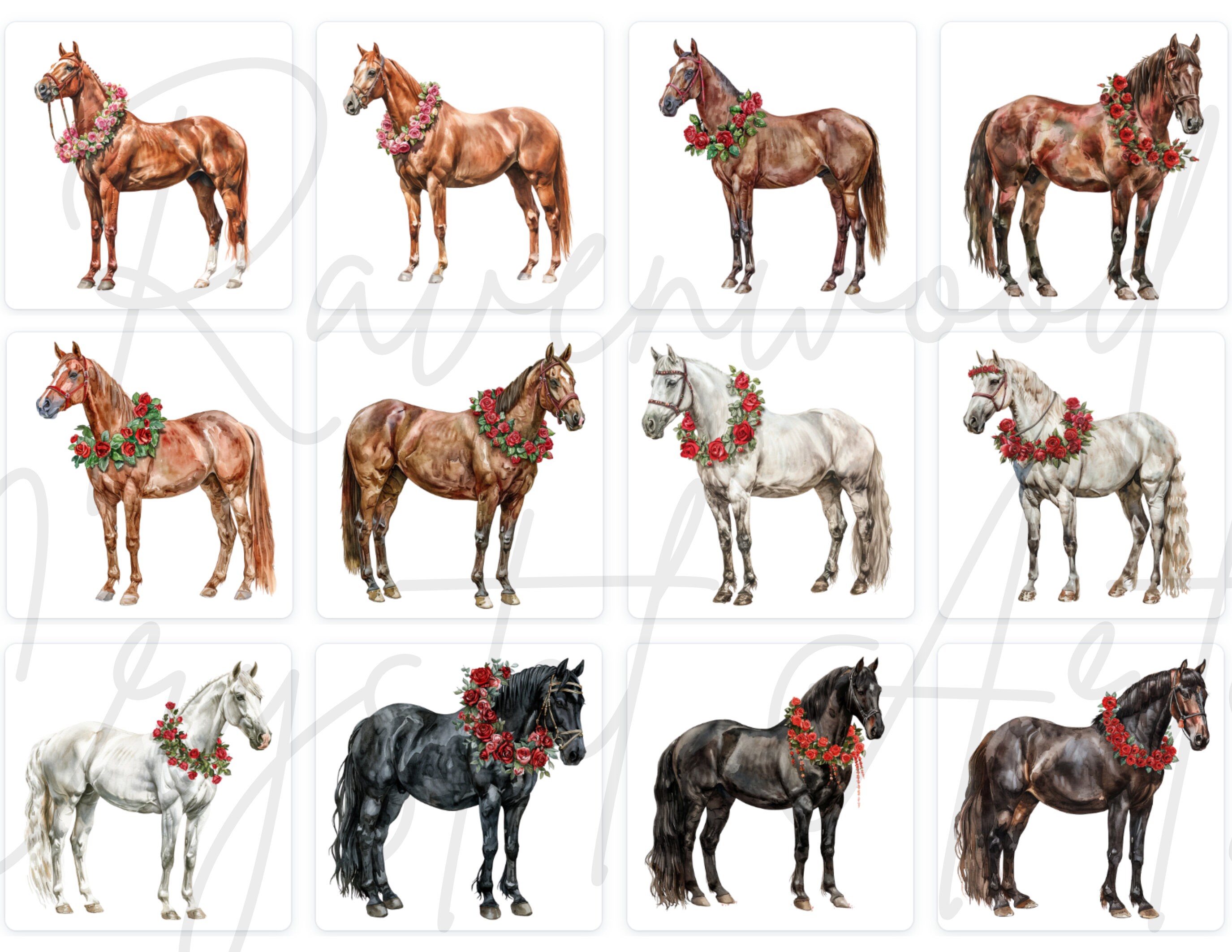Horses With Rose Garlands Clipart Pack Transparent Background Horses ...