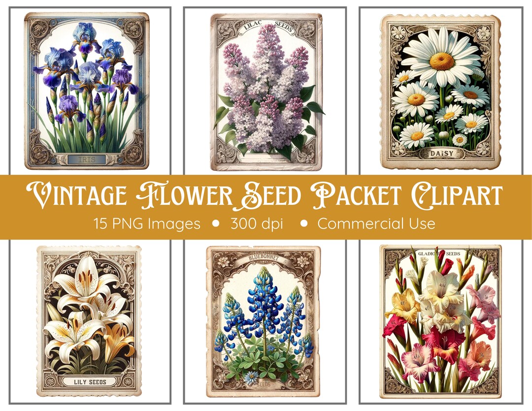 Vintage Flower Seed Packet Clipart Pack - 15 Pngs - Transparent ...