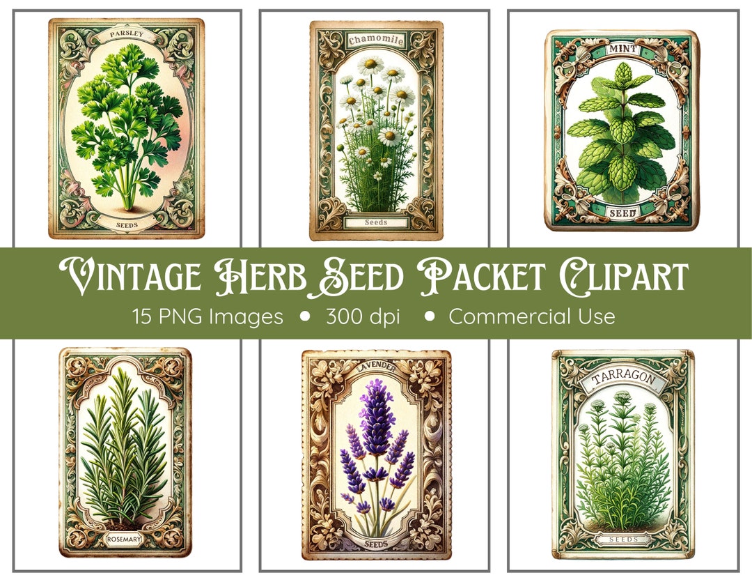 Vintage Herb Seed Packet Clipart Pack - 15 Pngs - Transparent ...