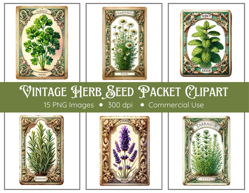Vintage Herb Seed Packet Clipart Pack - 15 Pngs - Transparent ...