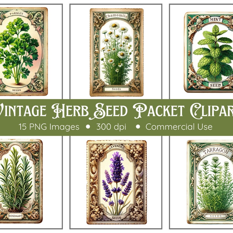 Seed Packet Template - Etsy