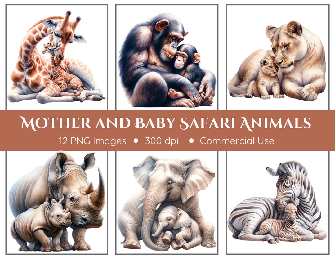 Mother and Baby Safari Animals Clipart - Safari Clipart - Transparent ...
