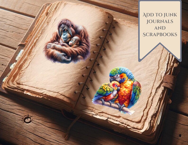 Mother and Baby Rainforest Animals Clipart Farm Clipart Transparent ...