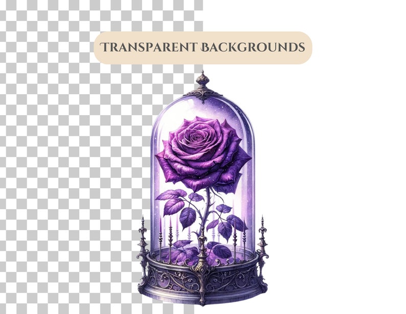 Enchanted Rose Clipart Pack - Transparent Background - Enchanted Roses ...