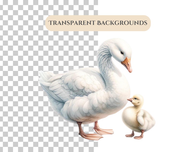 Mother and Baby Farm Animals Clipart Farm Clipart Transparent ...