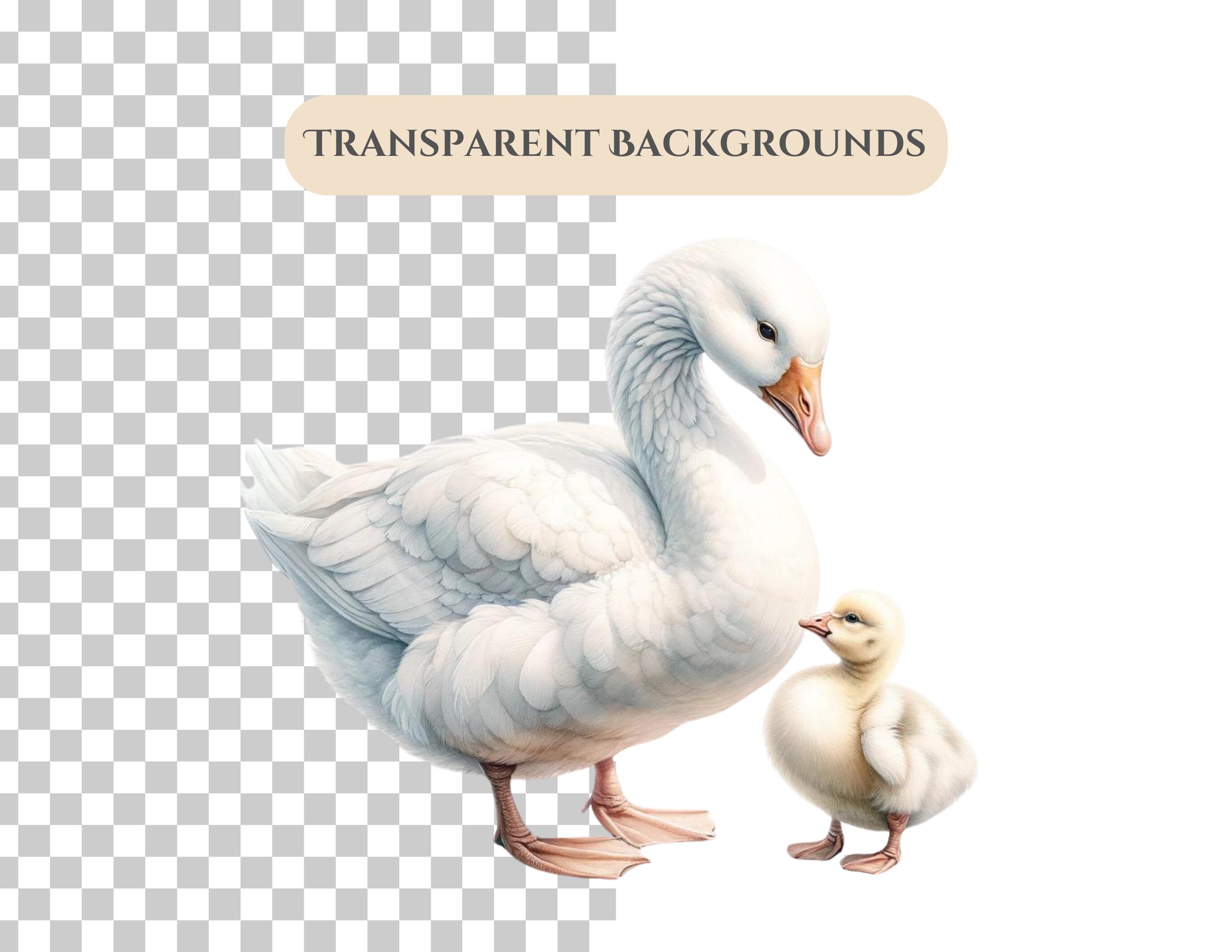 Mother and Baby Farm Animals Clipart Farm Clipart Transparent Background Nursery Art Mother's ...