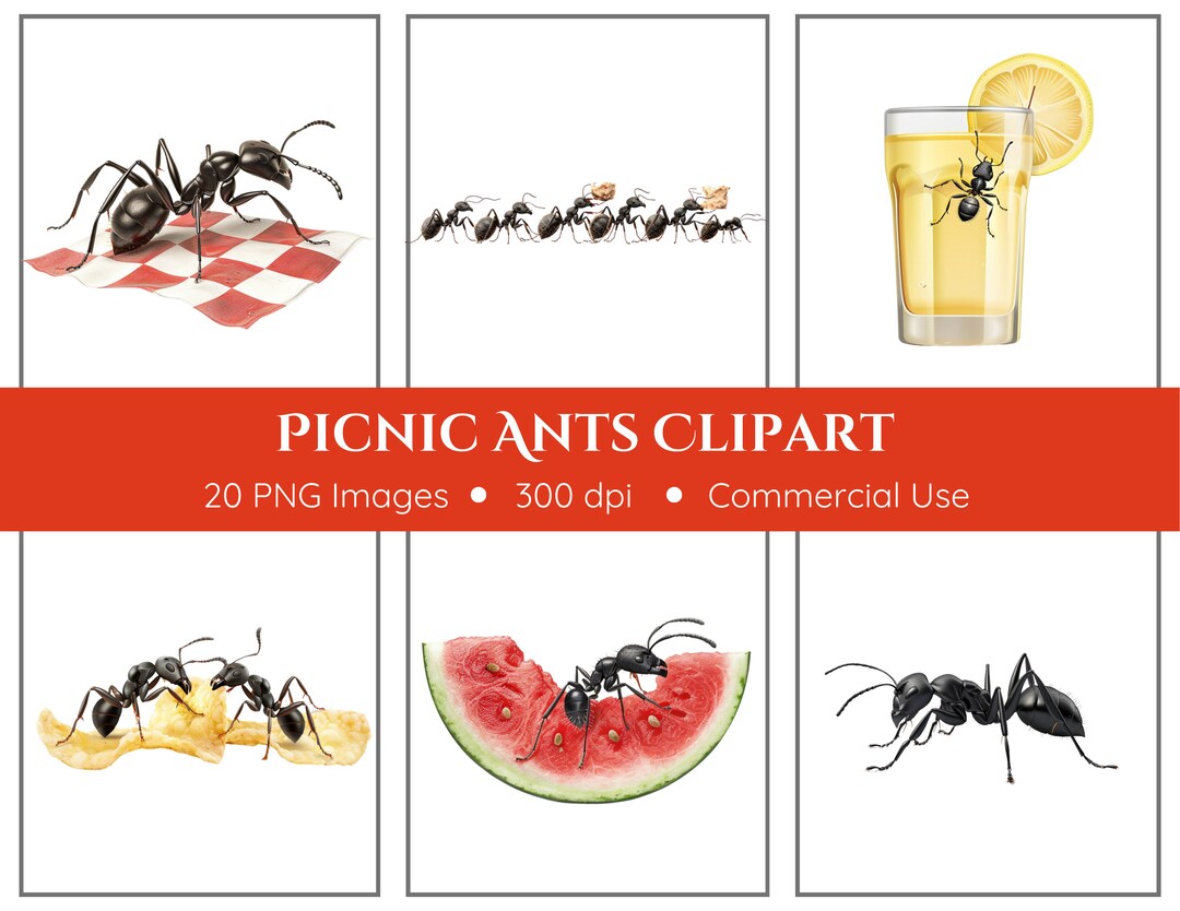 Picnic Ants Clipart | 20 Pngs | Ants Clip Art | Watercolor Ants Clipart ...