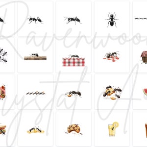 Picnic Ants Clipart | 20 Pngs | Ants Clip Art | Watercolor Ants Clipart ...
