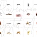 Picnic Ants Clipart | 20 Pngs | Ants Clip Art | Watercolor Ants Clipart ...