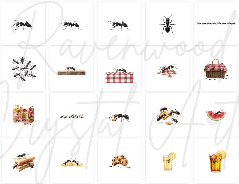 Picnic Ants Clipart 20 Pngs Ants Clip Art Watercolor Ants Clipart Junk ...