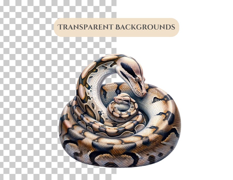 Mother and Baby Rainforest Animals Clipart - Farm Clipart - Transparent ...