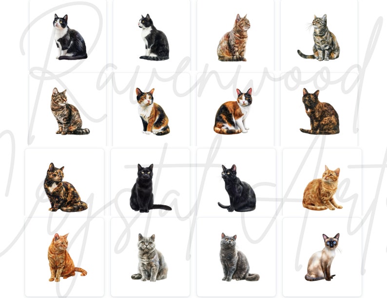 Realistic Cats Clipart Realistic Kittens Clipart 28 Pngs Watercolor ...