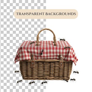 Picnic Ants Clipart | 20 Pngs | Ants Clip Art | Watercolor Ants Clipart ...