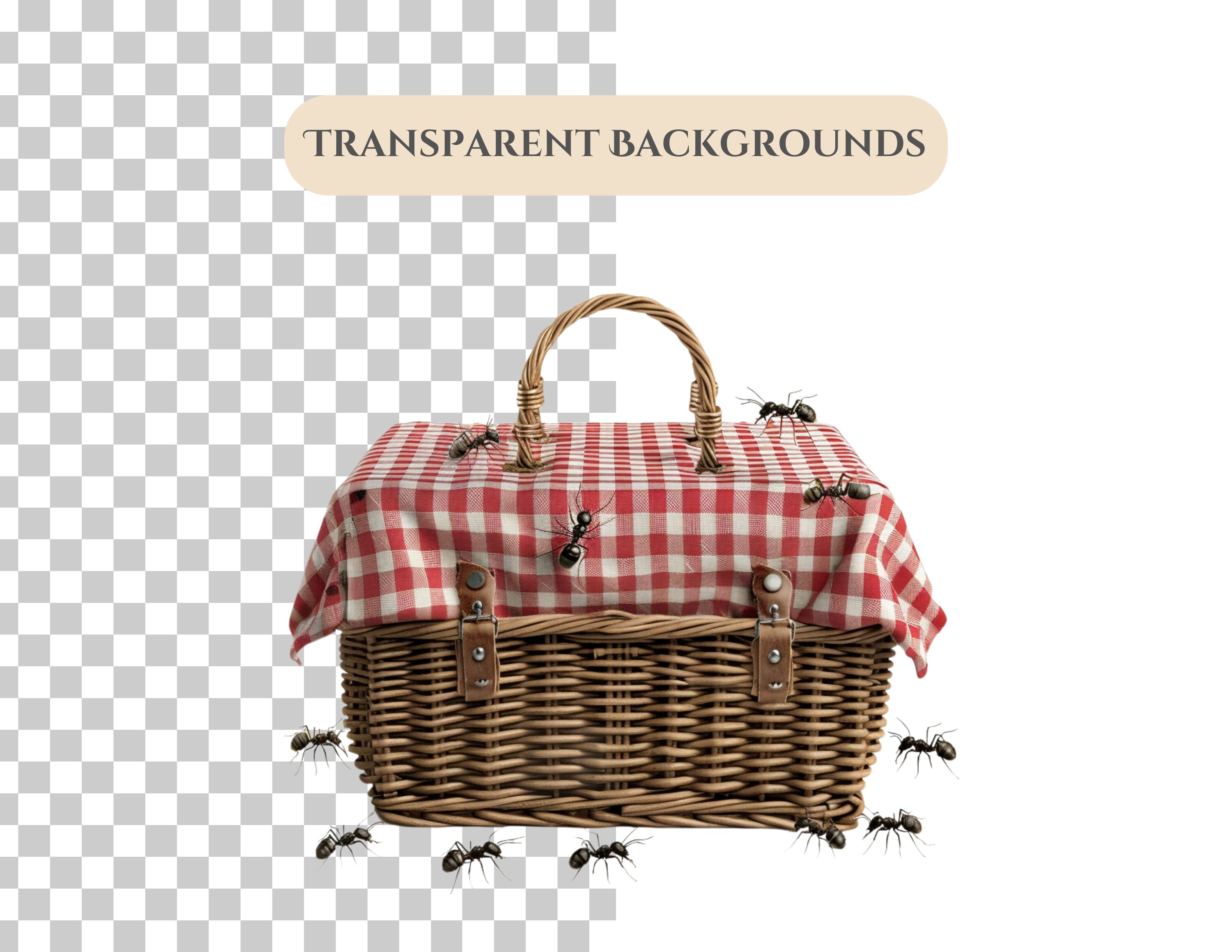 Picnic Ants Clipart 20 Pngs Ants Clip Art Watercolor Ants Clipart Junk ...