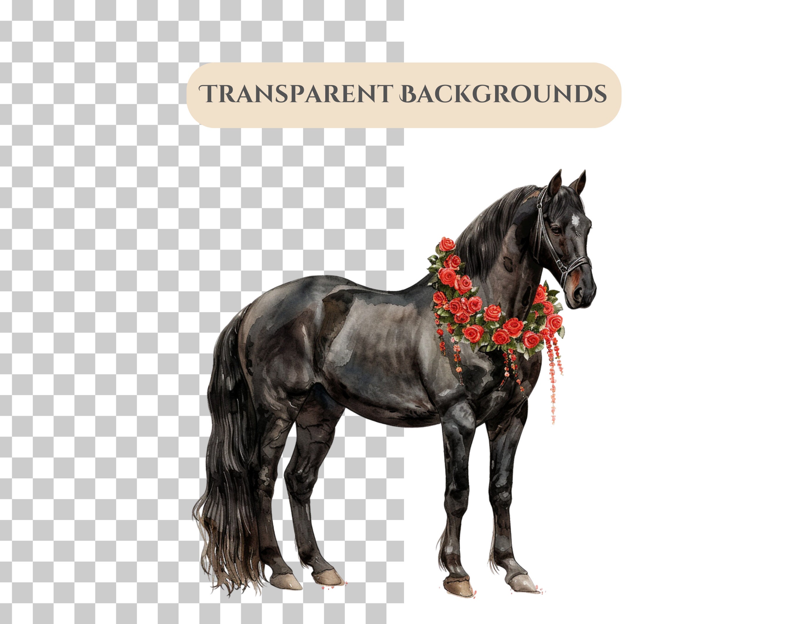 Horses With Rose Garlands Clipart Pack Transparent Background Horses ...