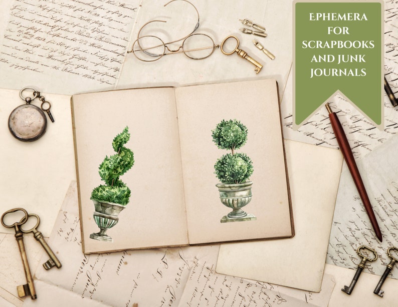 Topiary Clipart Pack - Transparent Background - Topiary Trees for Junk ...