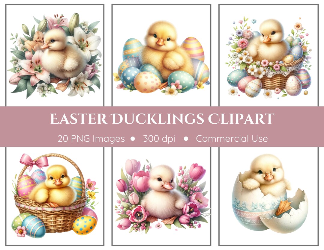 Easter Duckling Clipart Pack - Transparent Background - Watercolor ...