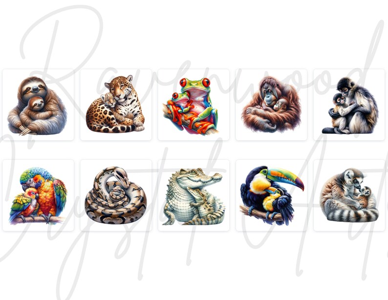 Mother and Baby Rainforest Animals Clipart - Farm Clipart - Transparent ...