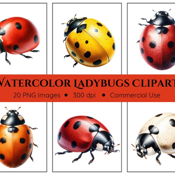 Ladybug Clip Art - Etsy