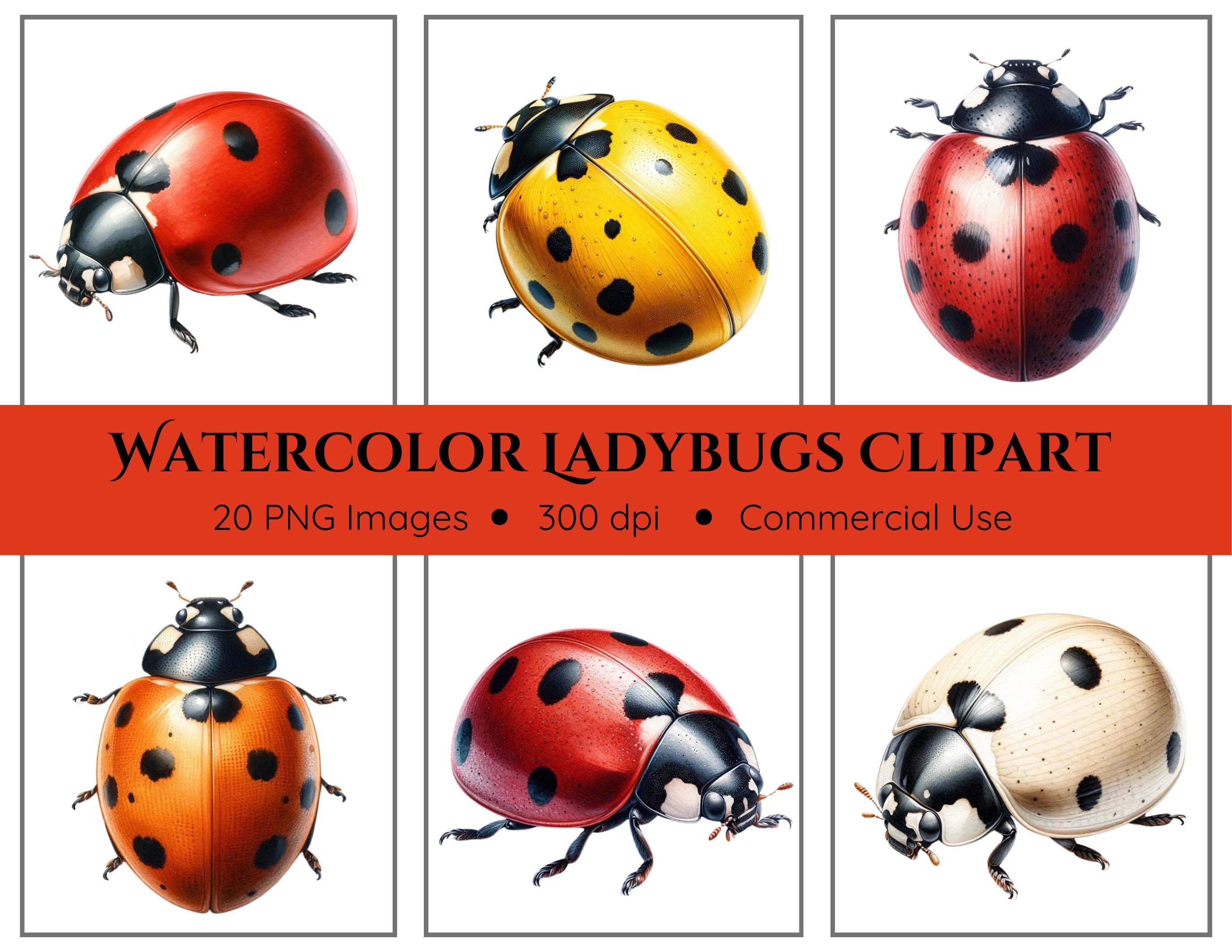 Ladybug Clipart 20 Pngs Lady Bug Clip Art Watercolor Clipart Junk ...