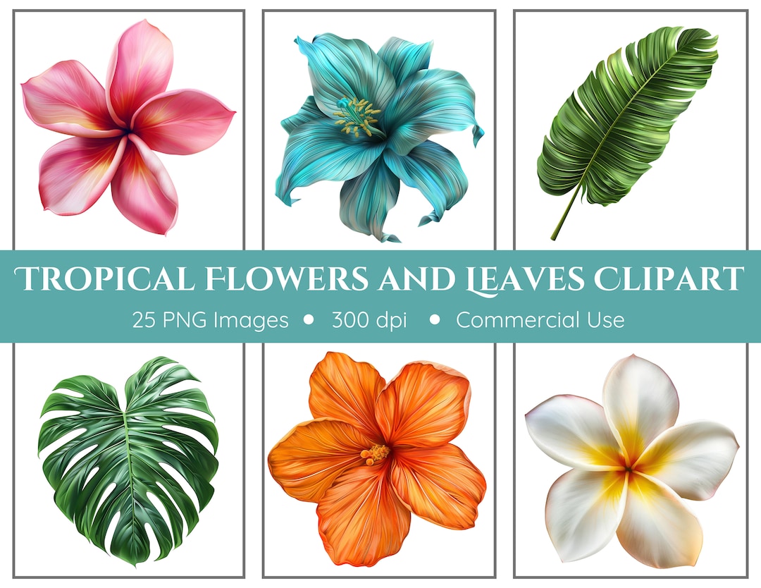 Tropical Flowers and Leaves Clipart | 25 Pngs | Instant Download | Luau ...