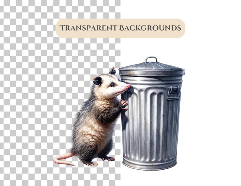 Opossum Png Cute Opossum Clipart Playing Possum Opossum With Trash Can ...